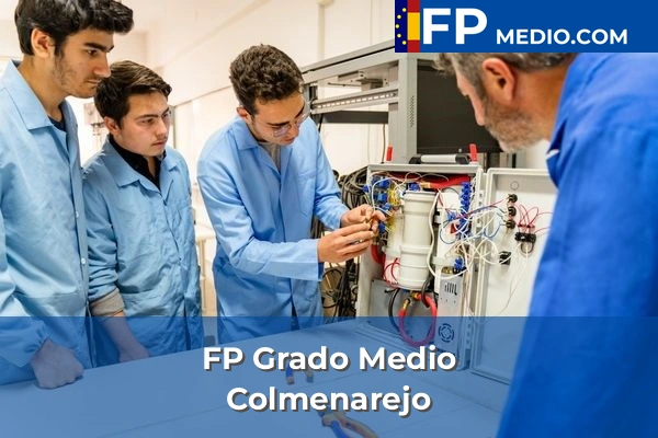 FP Grado Medio en Madrid | 2025